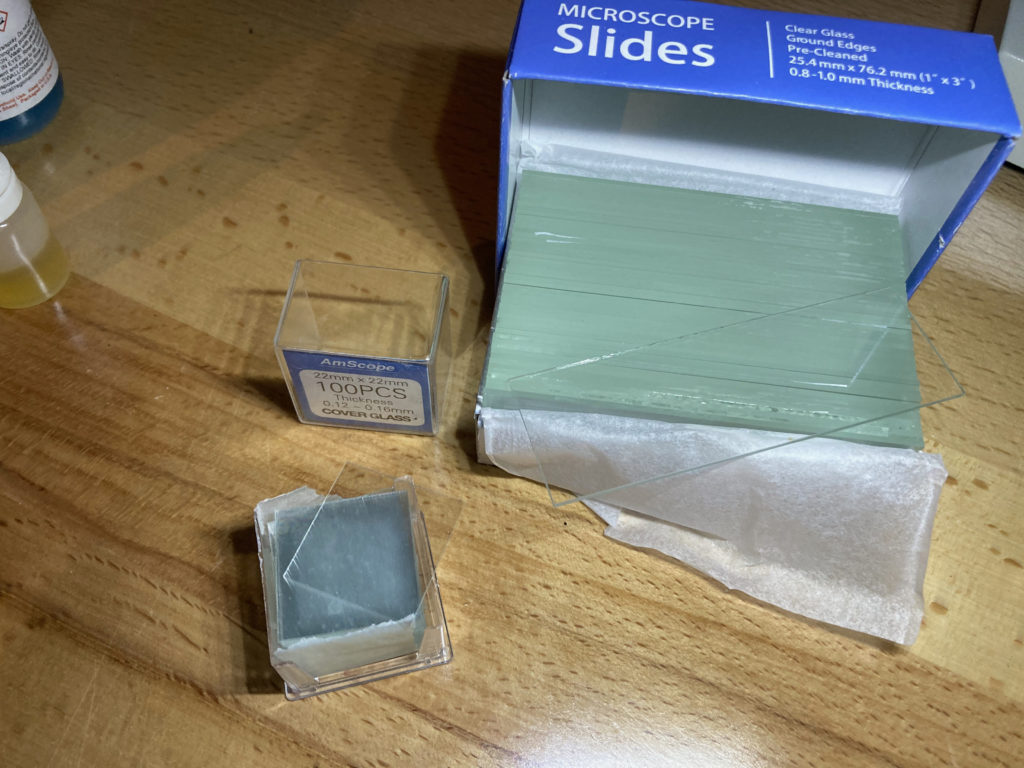 Microscope | Junior Gardener