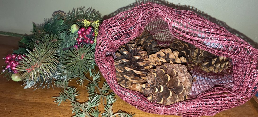 Craft Corner: Pine Cone Critters | Junior Gardener
