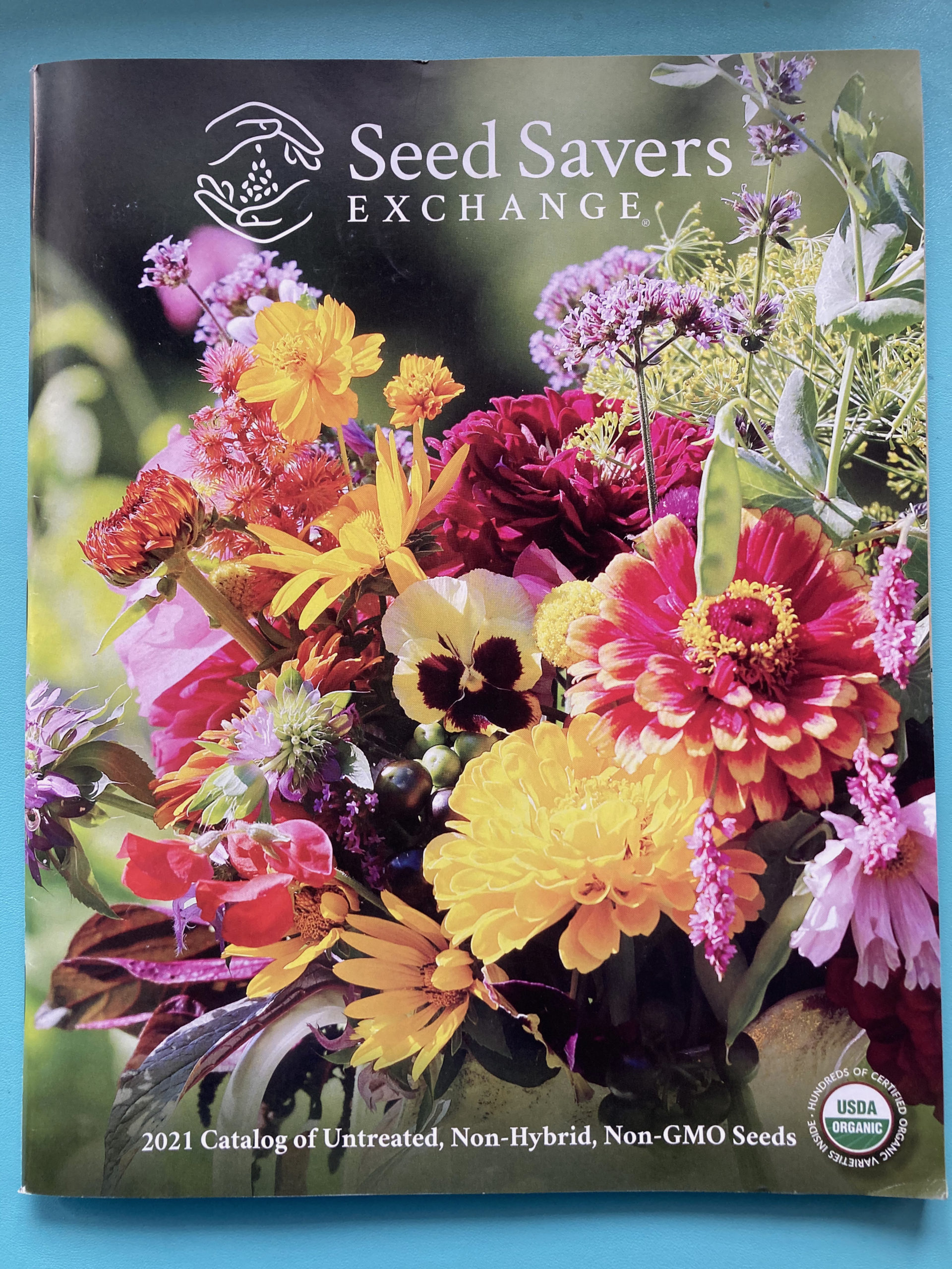 Seeds | Junior Gardener